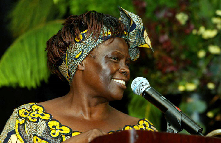 The Legacy of Wangari Maathai - Goldman Environmental Prize