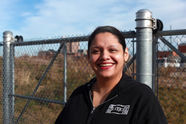 Illinois Holds First Environmental Justice Commission Meeting - Goldman ...