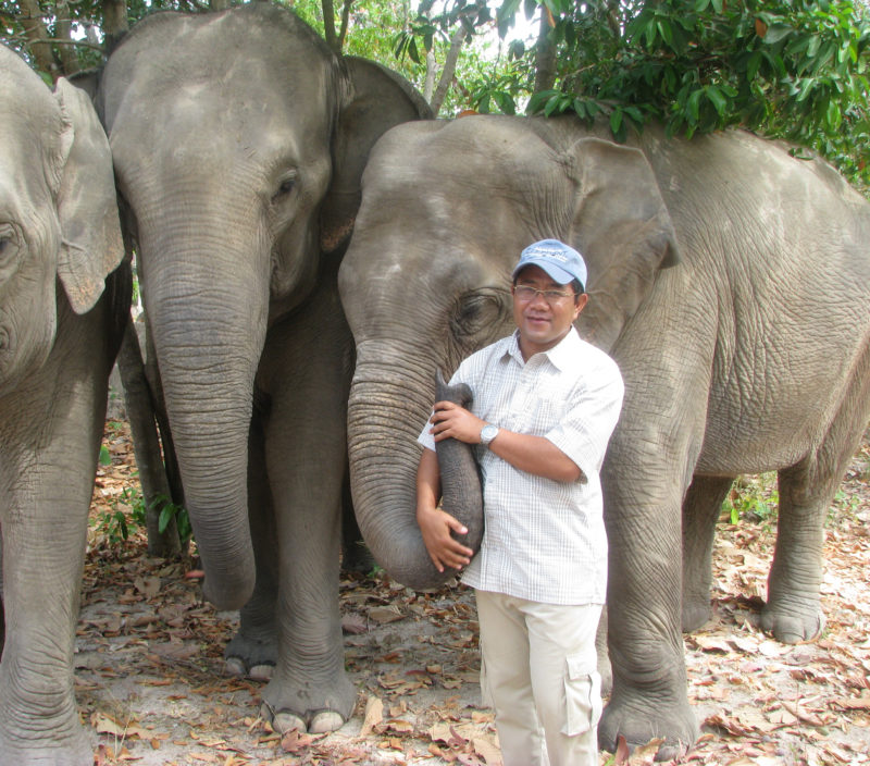 Project Spotlight: Vathana Tuy Champions Elephant Conservation in ...