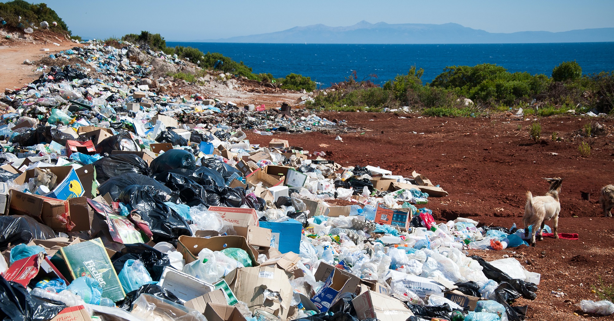 Pollution & Waste - Goldman Environmental Prize