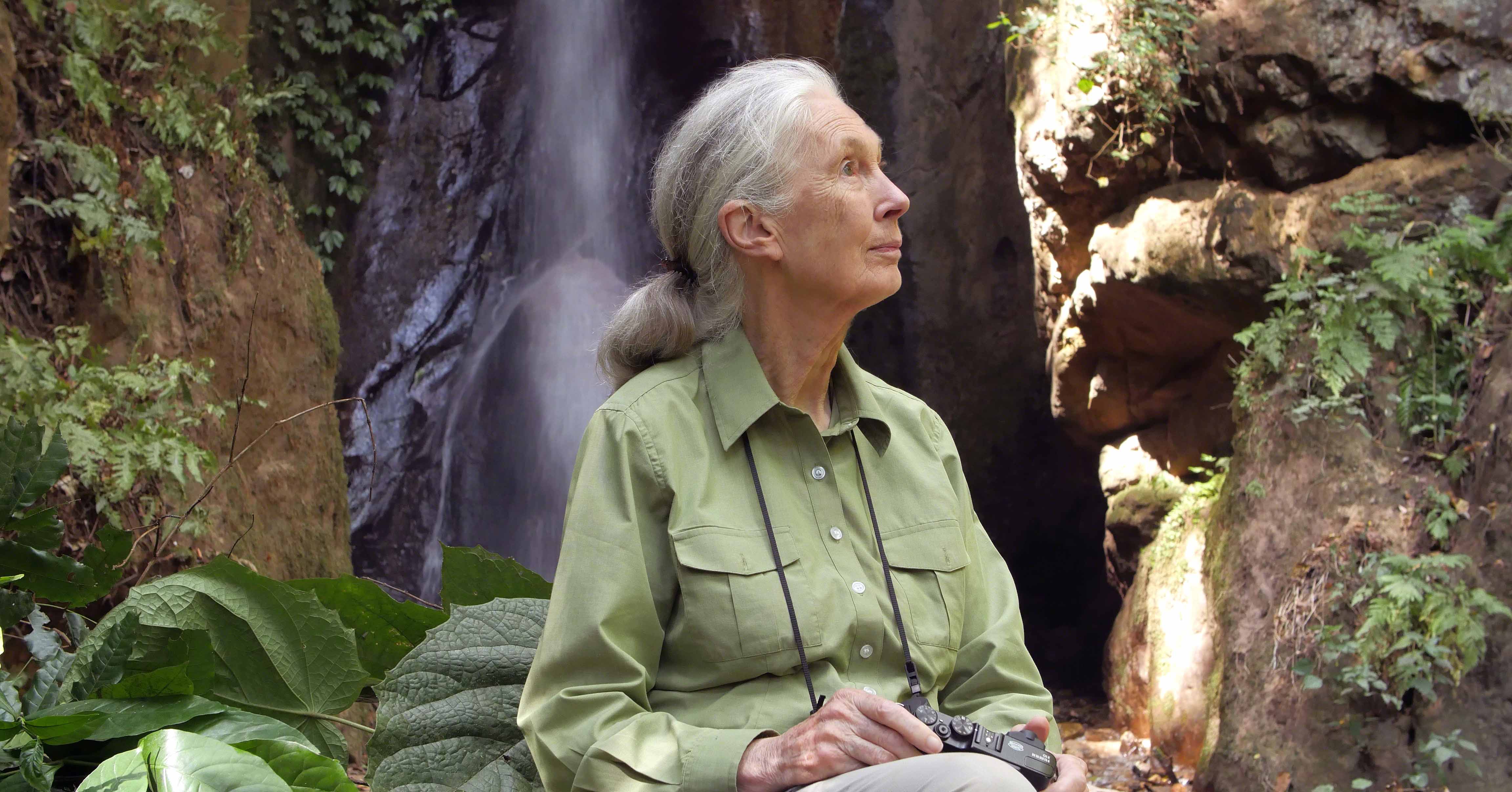 Meet Dr. Jane Goodall, Goldman Prize Ceremony Speaker