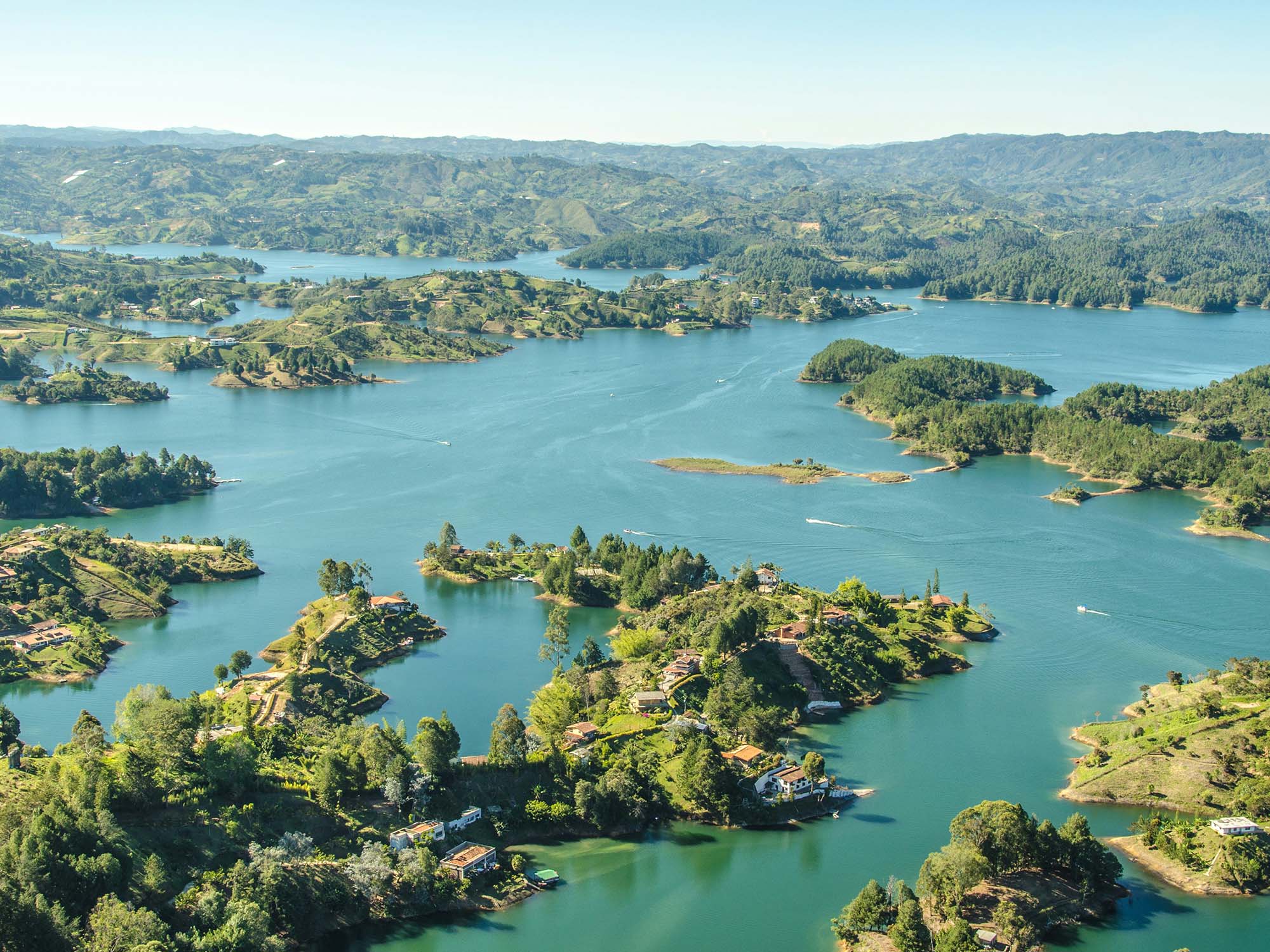 COP16: What to Know about the 2024 UN Biodiversity Conference