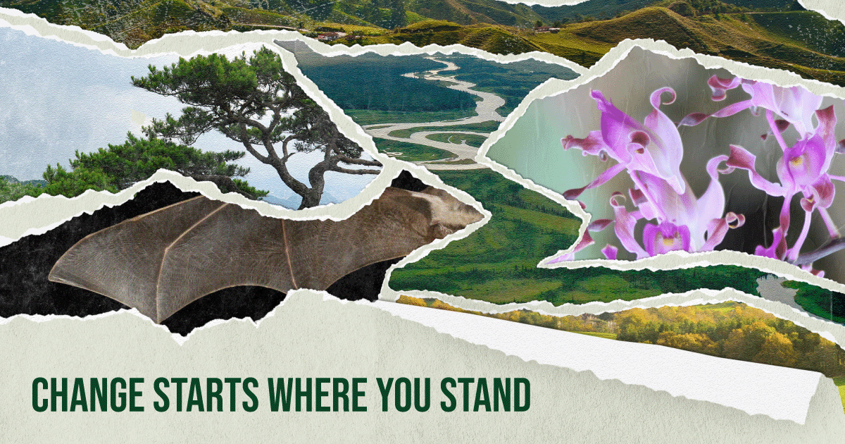 2026 Goldman Prize Winners to Be Announced Monday, April 20